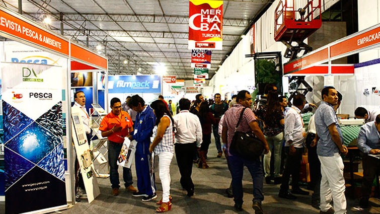 Pack Perú Digital News