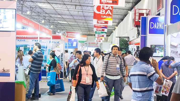 Pack Perú Digital News